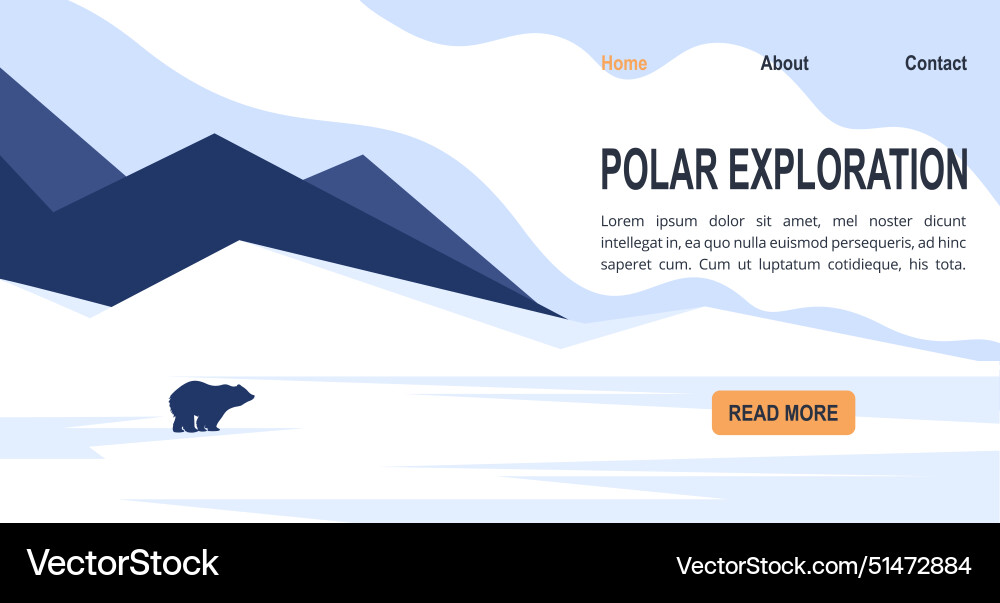 Antarctica landscape and view on mountains Vector Image