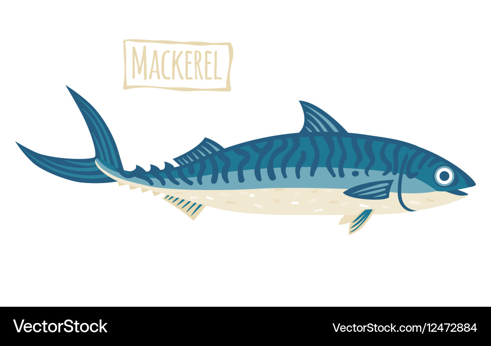 Mackerel cartoon Royalty Free Vector Image - VectorStock