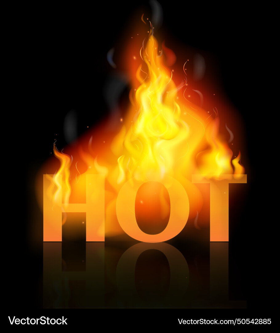 Colored realistic fire flame composition Vector Image