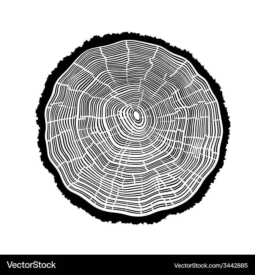 Cracked Tree Rings Royalty Free Vector Image - VectorStock