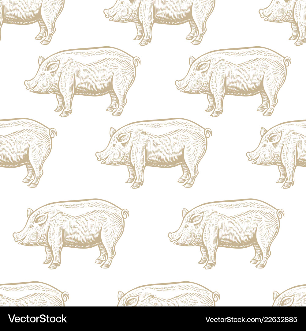 Pig engraving seamless pattern Royalty Free Vector Image
