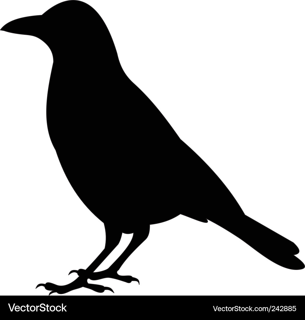 Raven Royalty Free Vector Image - VectorStock