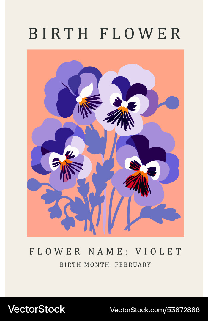 Birth flower violet february month Royalty Free Vector Image