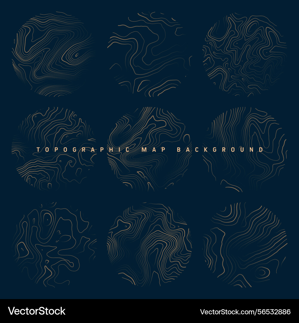 Colorful topographic maps with contour lines Vector Image