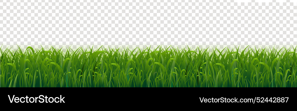 Grass border with transparent background Vector Image