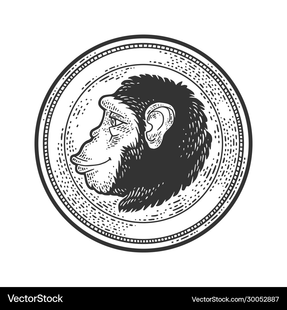 Monkey coin sketch Royalty Free Vector Image - VectorStock