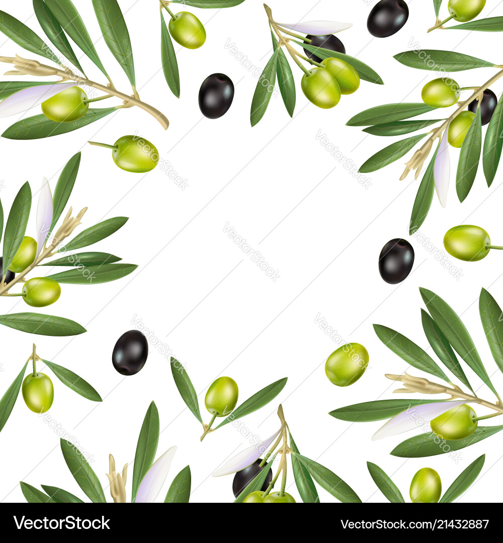 Olive frame of advertising posters postcards Vector Image