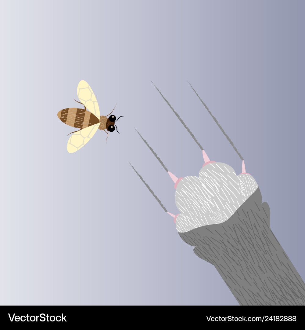 Cat and bee s paw catches Royalty Free Vector Image