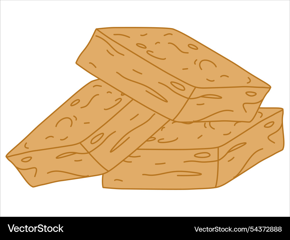 Turnip cake rice flour radish fried dish china Vector Image