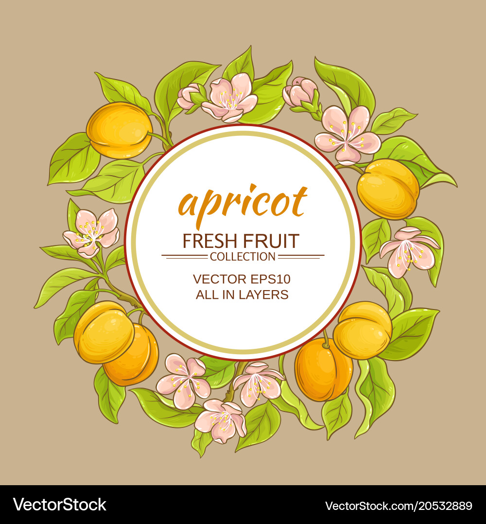 Apricot frame Royalty Free Vector Image - VectorStock