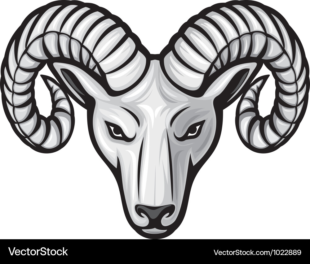 Ram Head Illustration Royalty Free Vector Image