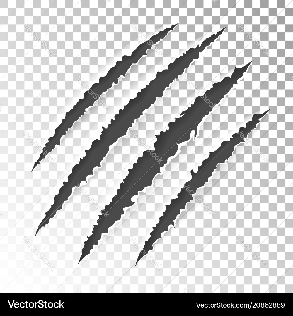 Scratch claws of animal Royalty Free Vector Image