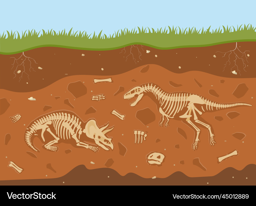 Underground dinosaur bones Royalty Free Vector Image