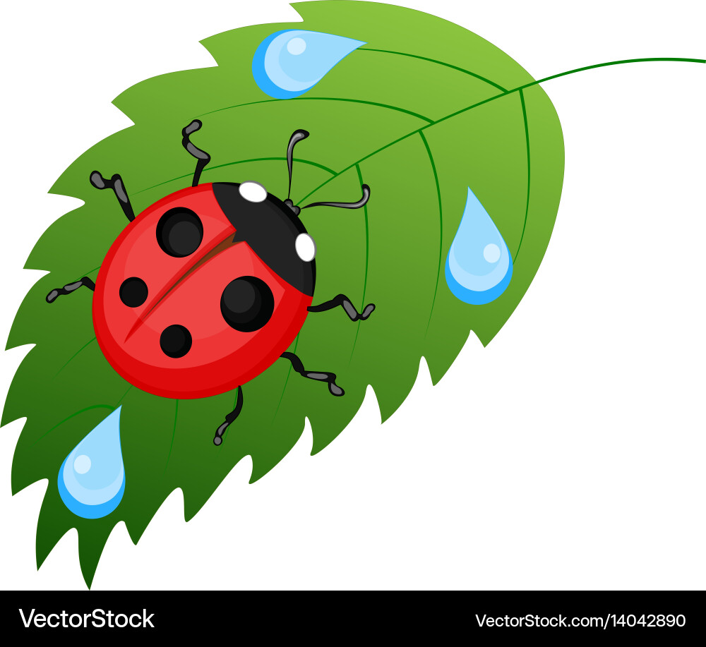 Cute Ladybug on Leaf Royalty Free Vector Image