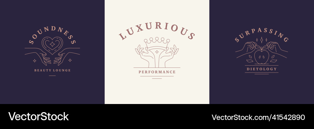 Feminine logos emblems design templates set Vector Image