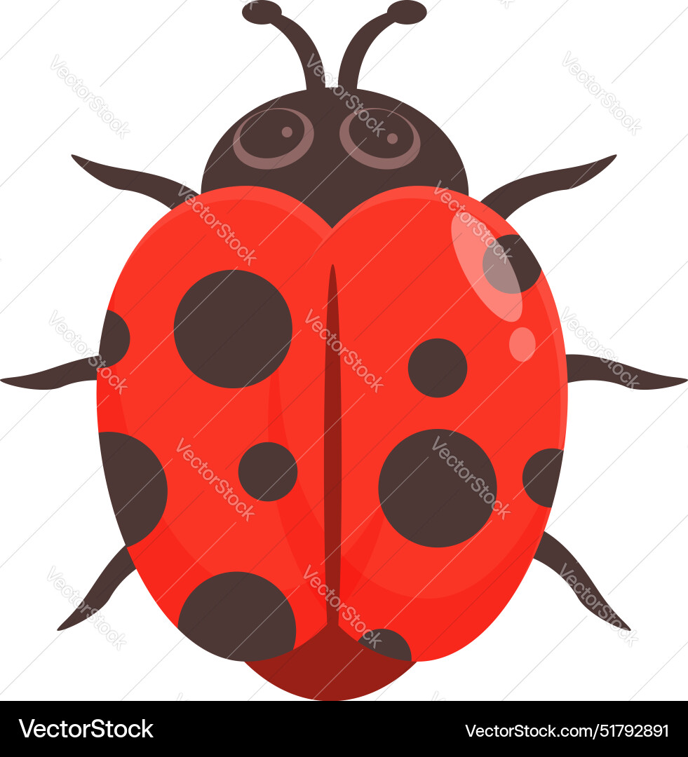 Happy red ladybug opening its shell Royalty Free Vector