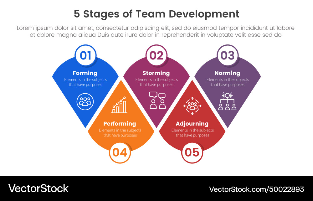 5 stages team development model framework Vector Image