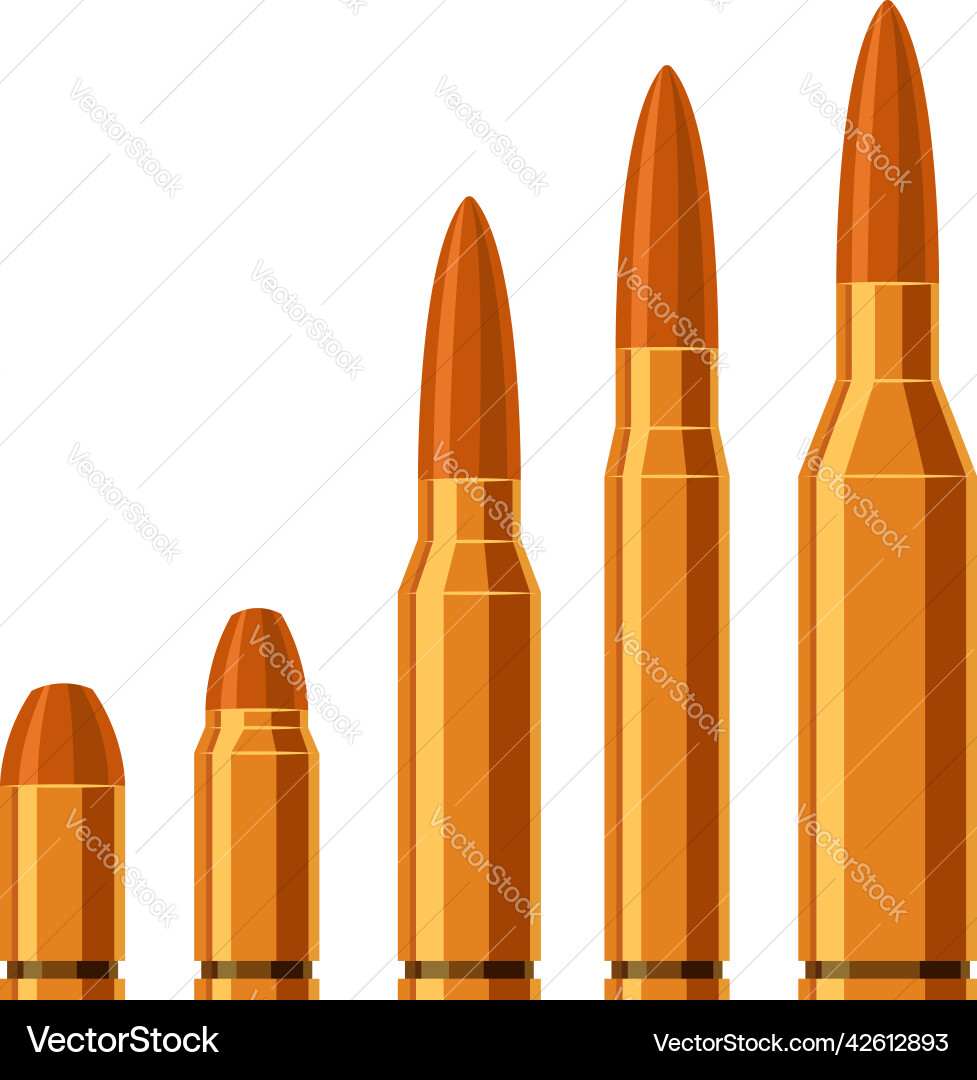 Bullet cartridges ammunition in flat style design Vector Image