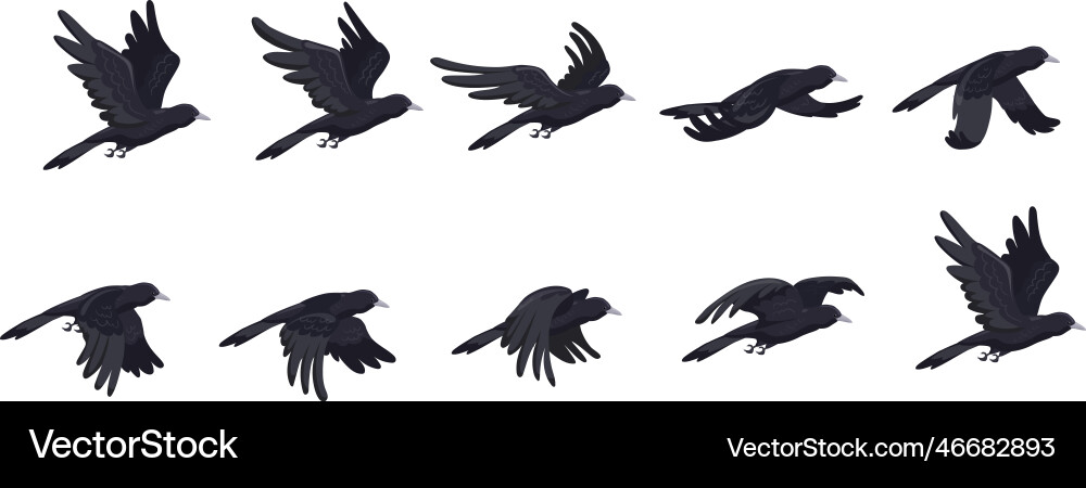 Crow flying animation animated fly raven bird Vector Image