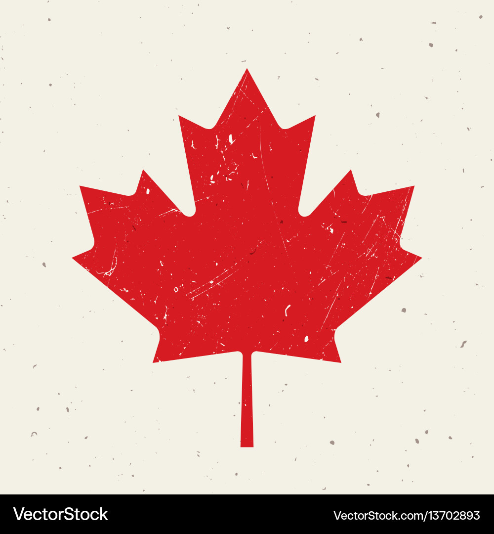 Maple leaf Royalty Free Vector Image - VectorStock