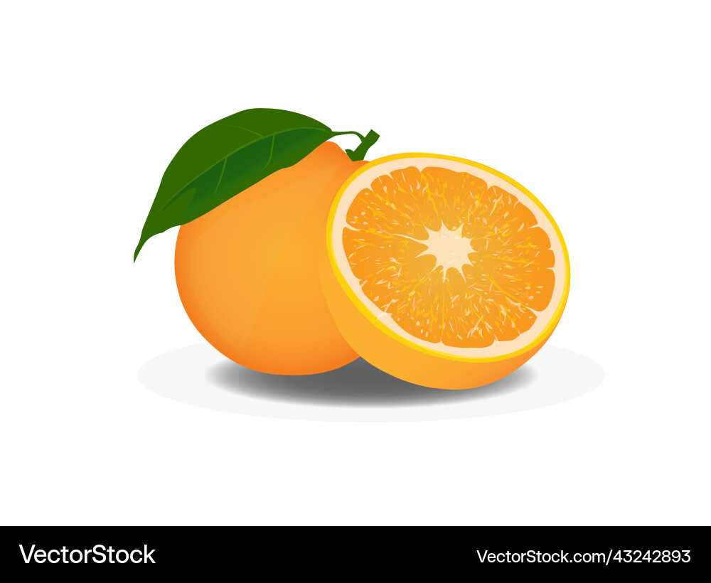 Orange fruit Royalty Free Vector Image - VectorStock