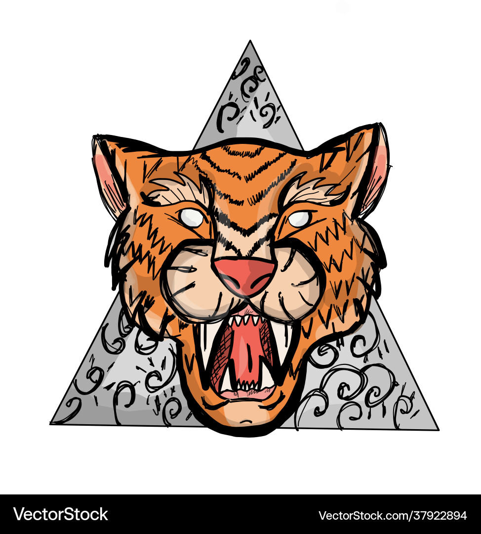 Angry Tiger Head Royalty Free Vector Image - VectorStock