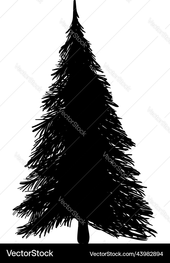 Fir tree silhouette Royalty Free Vector Image - VectorStock