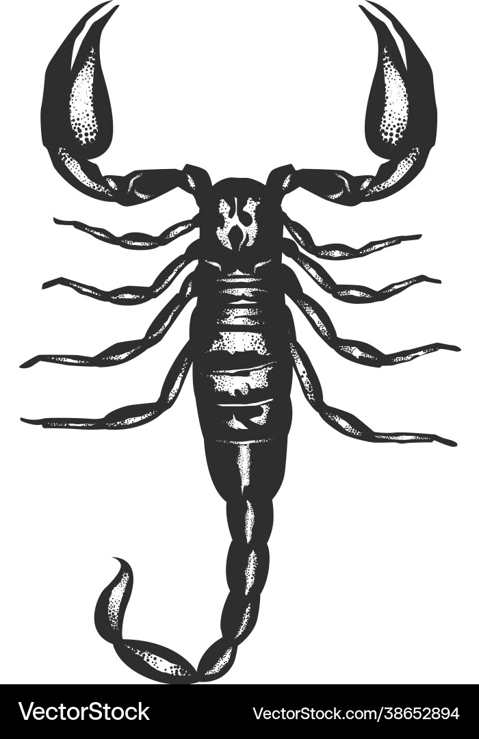 Scorpion Royalty Free Vector Image - VectorStock