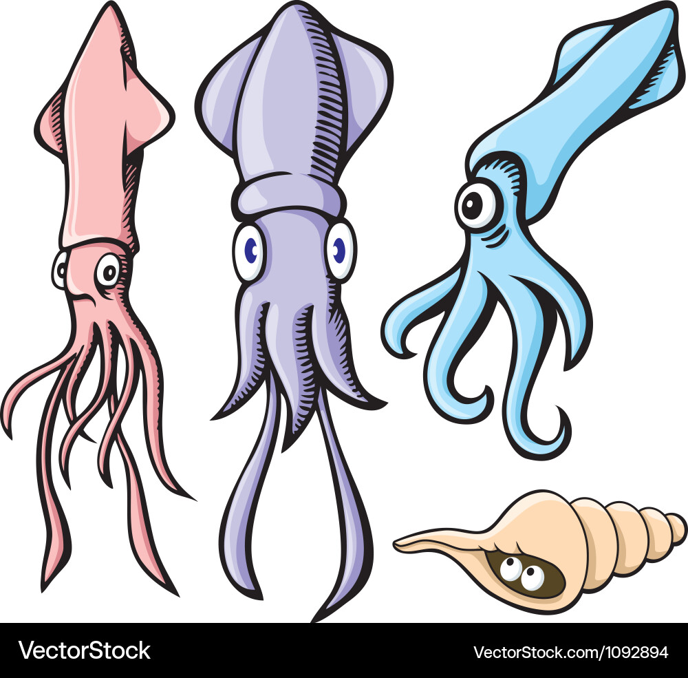 Squid cartoons Royalty Free Vector Image - VectorStock