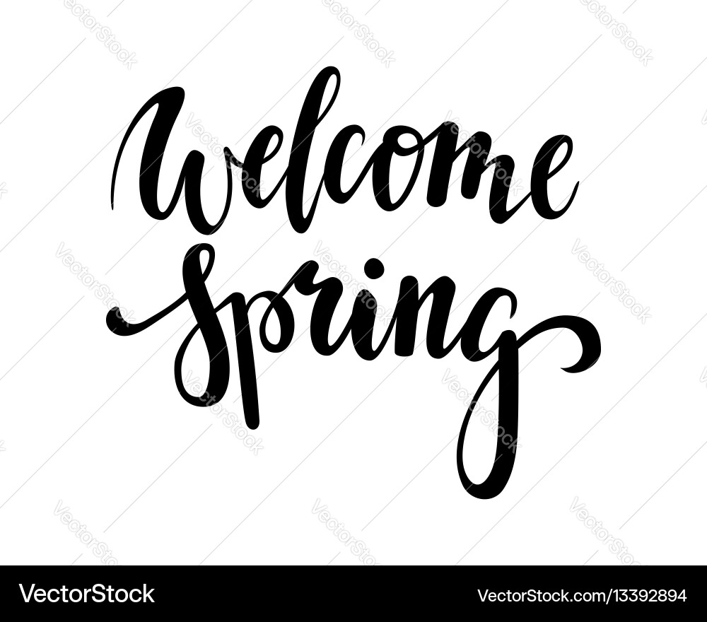 Welcome spring hand drawn calligraphy and brush Vector Image