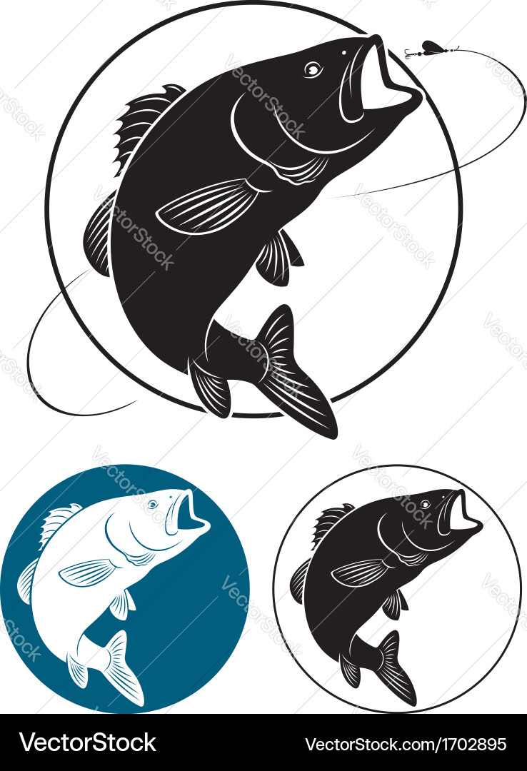 Bass Vector Images (über 85,000)