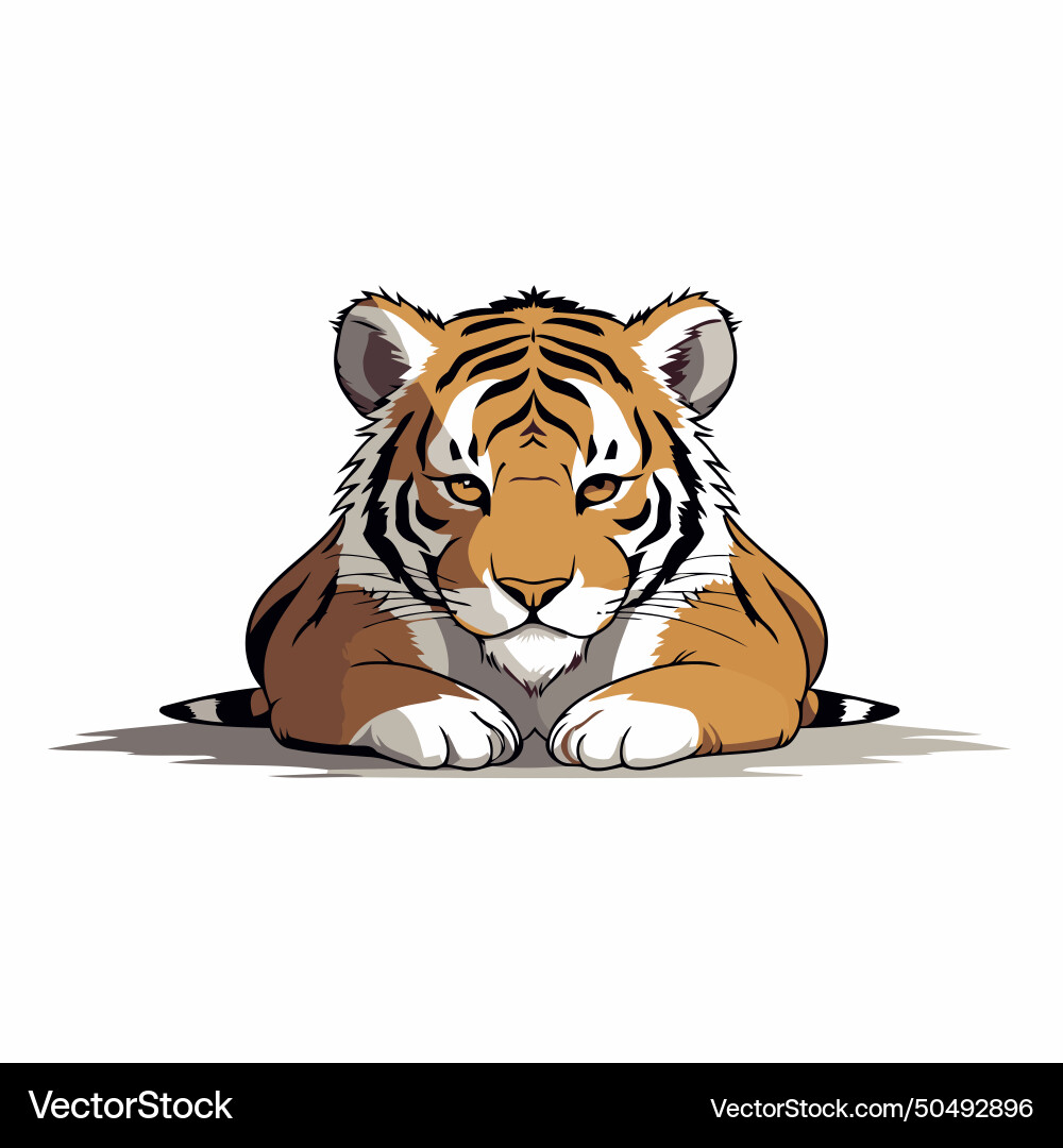 A tiger lying on the ground isolated white Vector Image