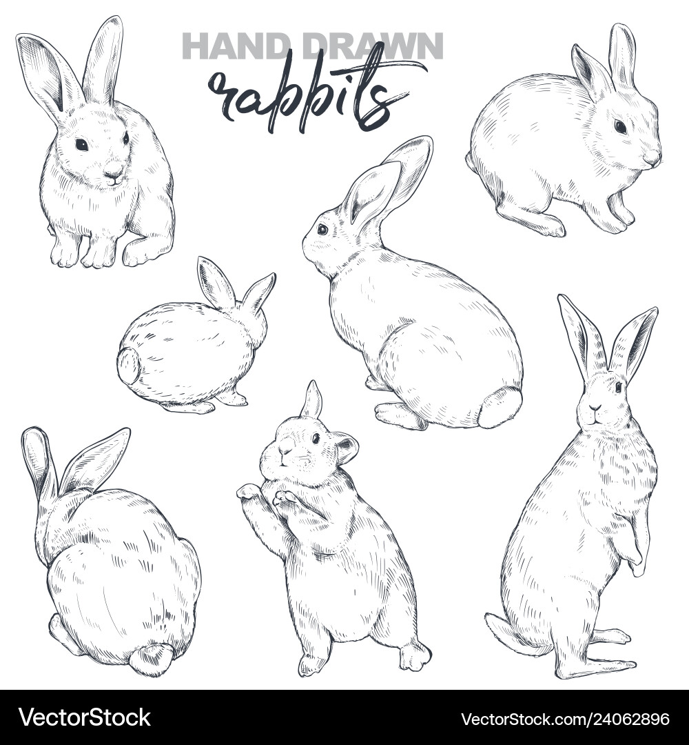 Collection of hand drawn realistic sketch Vector Image
