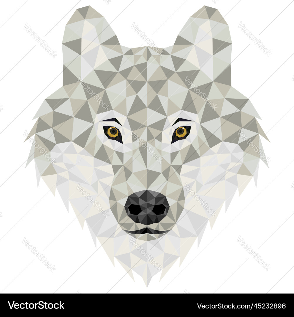 Wolf polygonal low poly grey face Royalty Free Vector Image