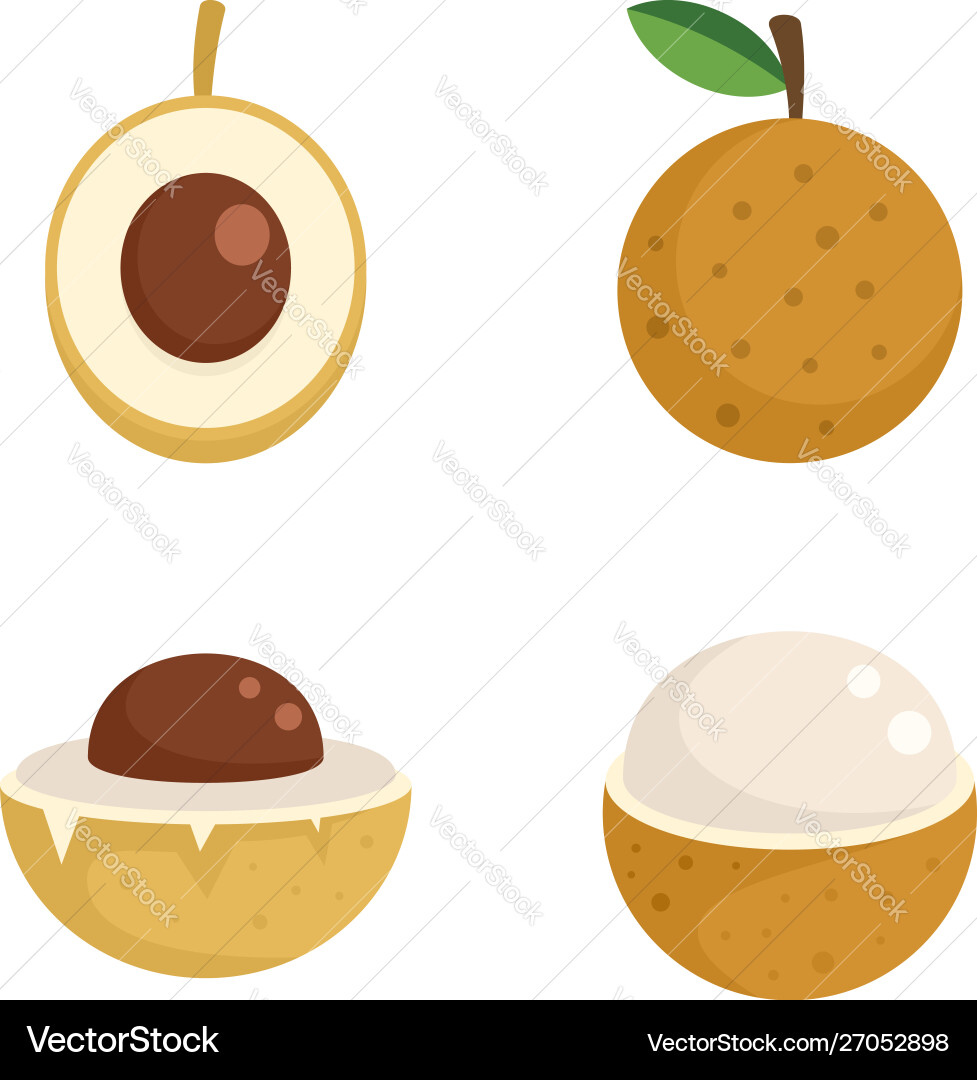 Longan icons set flat style Royalty Free Vector Image
