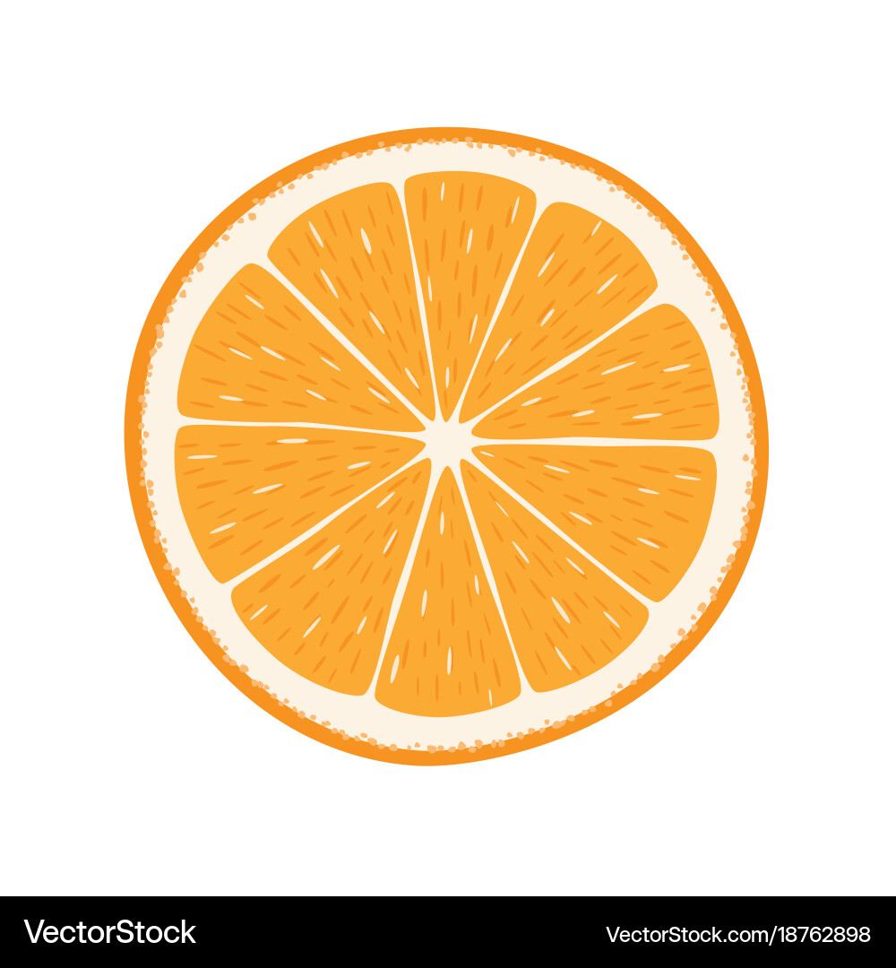 Orange Fruit Slice Royalty Free Vector Image - VectorStock
