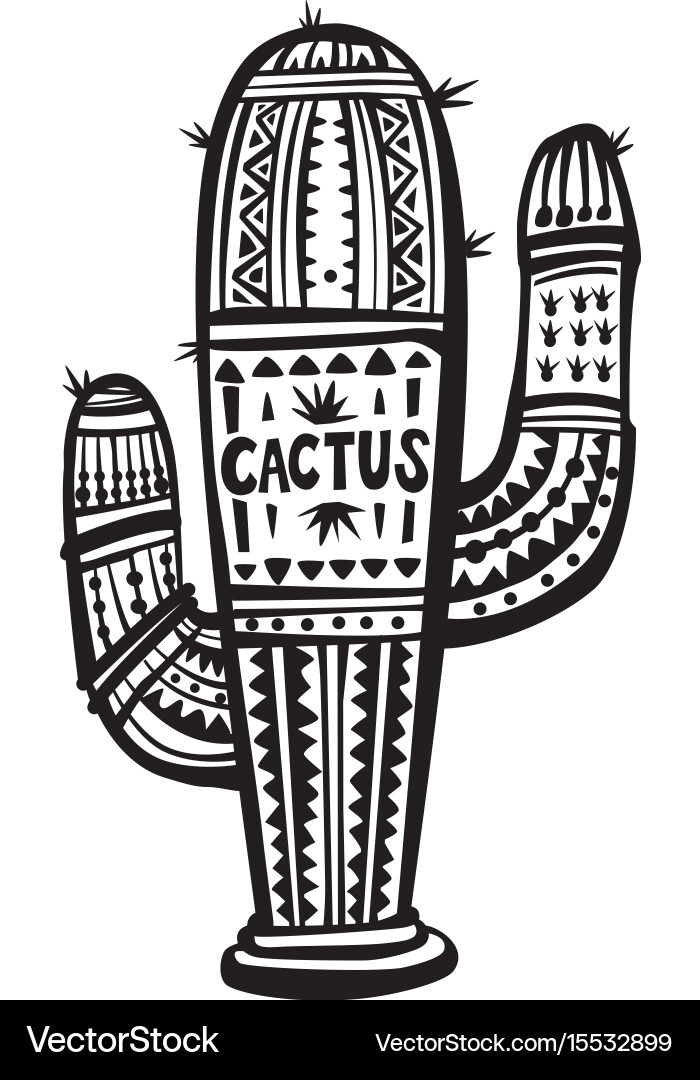 Cactus Royalty Free Vector Image - VectorStock