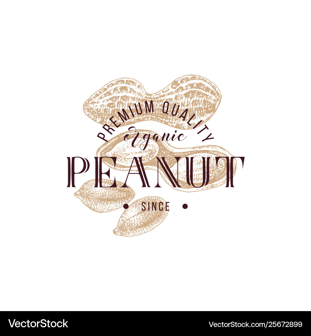 Emblem with type design and hand drawn peanuts Vector Image