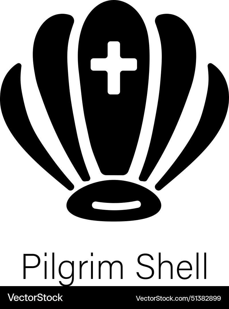 Pilgrim shell Royalty Free Vector Image - VectorStock