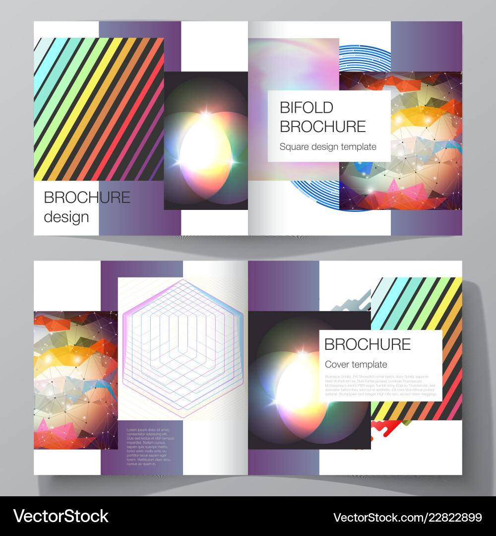 The layout of two Royalty Free Vector Image - VectorStock