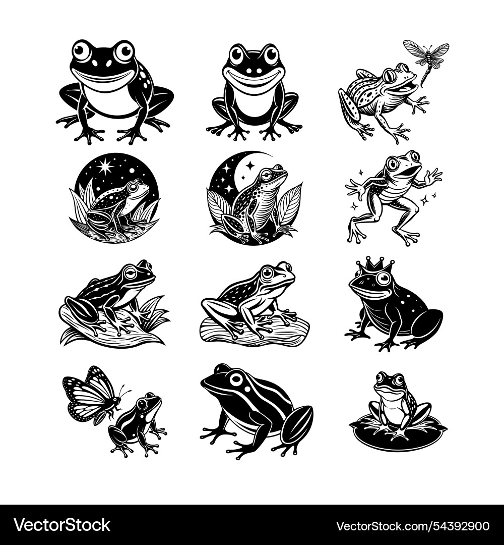 Frog image Royalty Free Vector Image - VectorStock