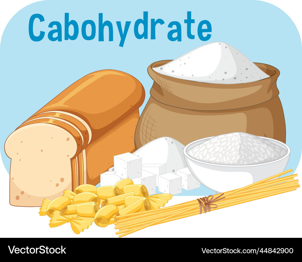Group of carbohydrate food Royalty Free Vector Image