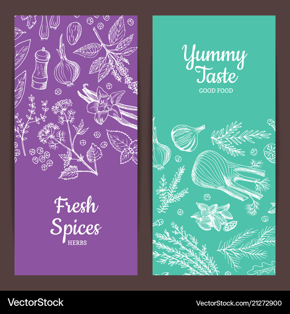 Hand drawn herbs spices banners Royalty Free Vector Image
