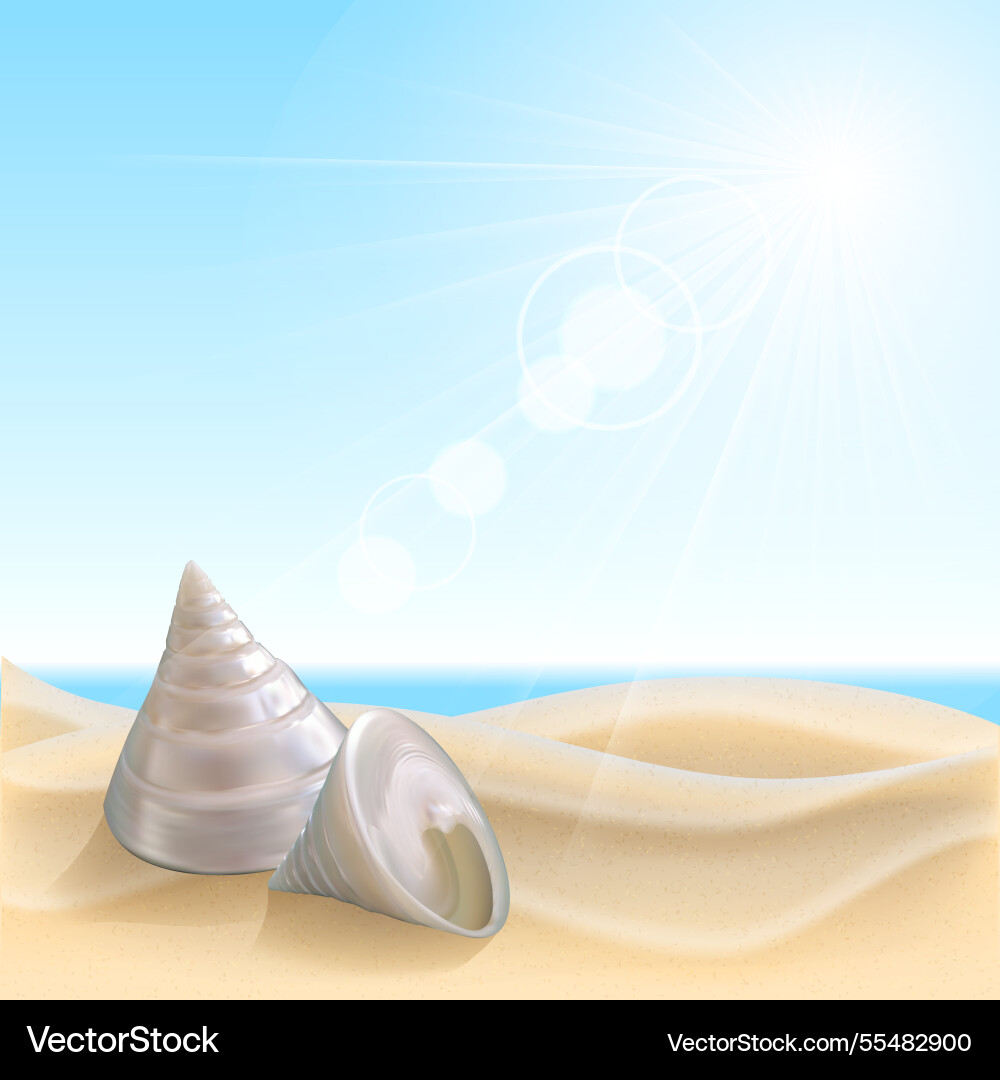 Shell on the beach Royalty Free Vector Image - VectorStock