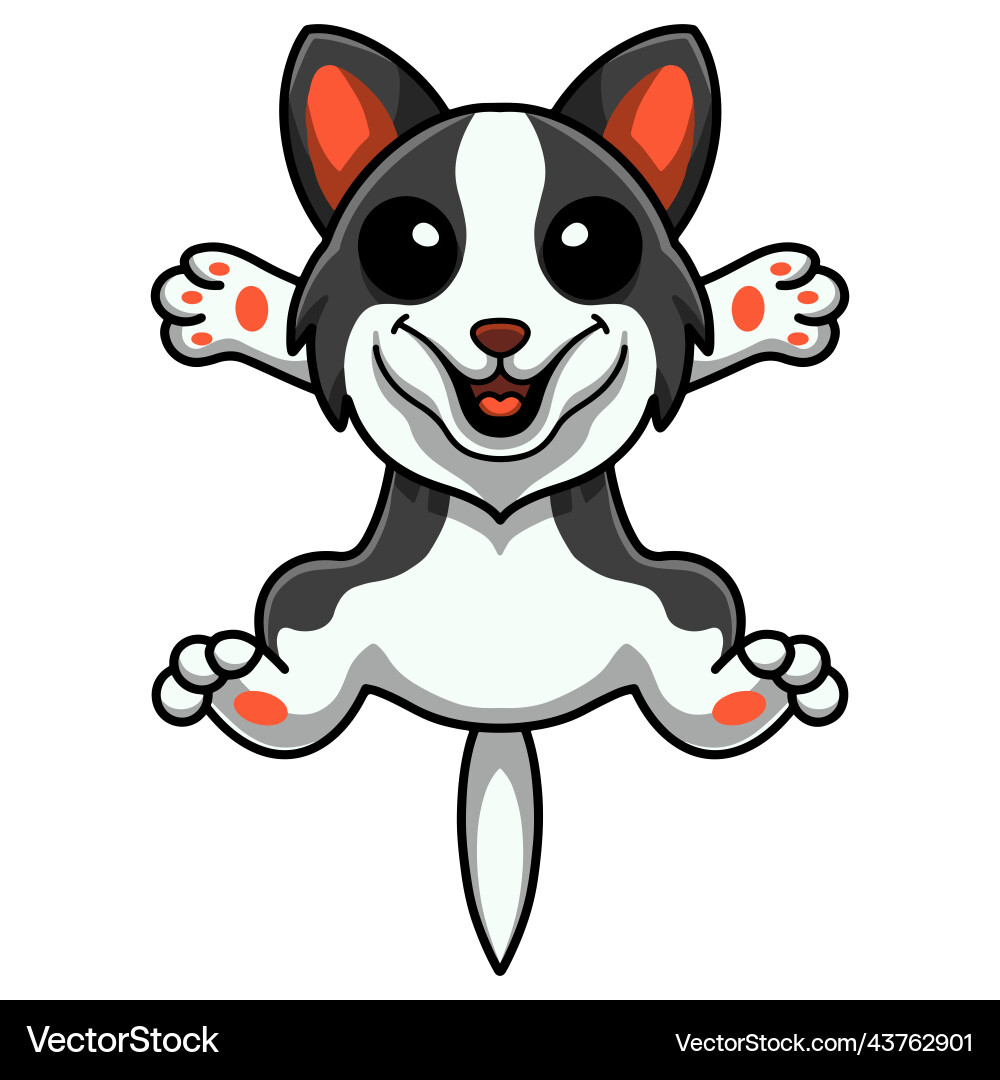 Cute border collie dog cartoon Royalty Free Vector Image