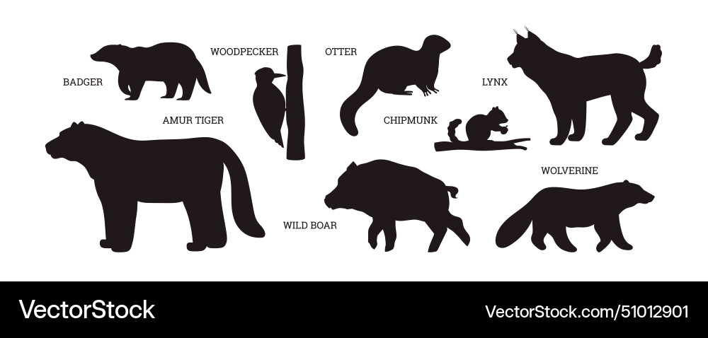 Taiga animals silhouette with names set Royalty Free Vector