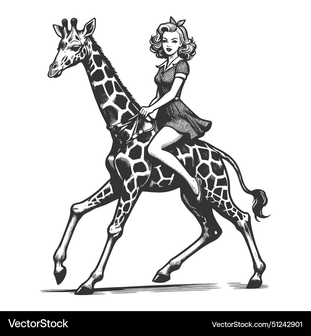 Woman riding giraffe engraving Royalty Free Vector Image