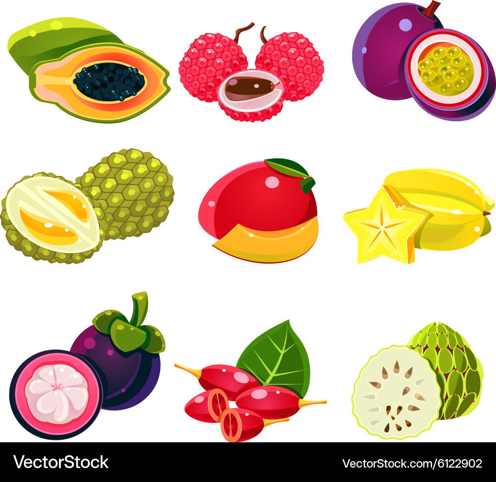 Colourful exotic tropical fruits set Royalty Free Vector
