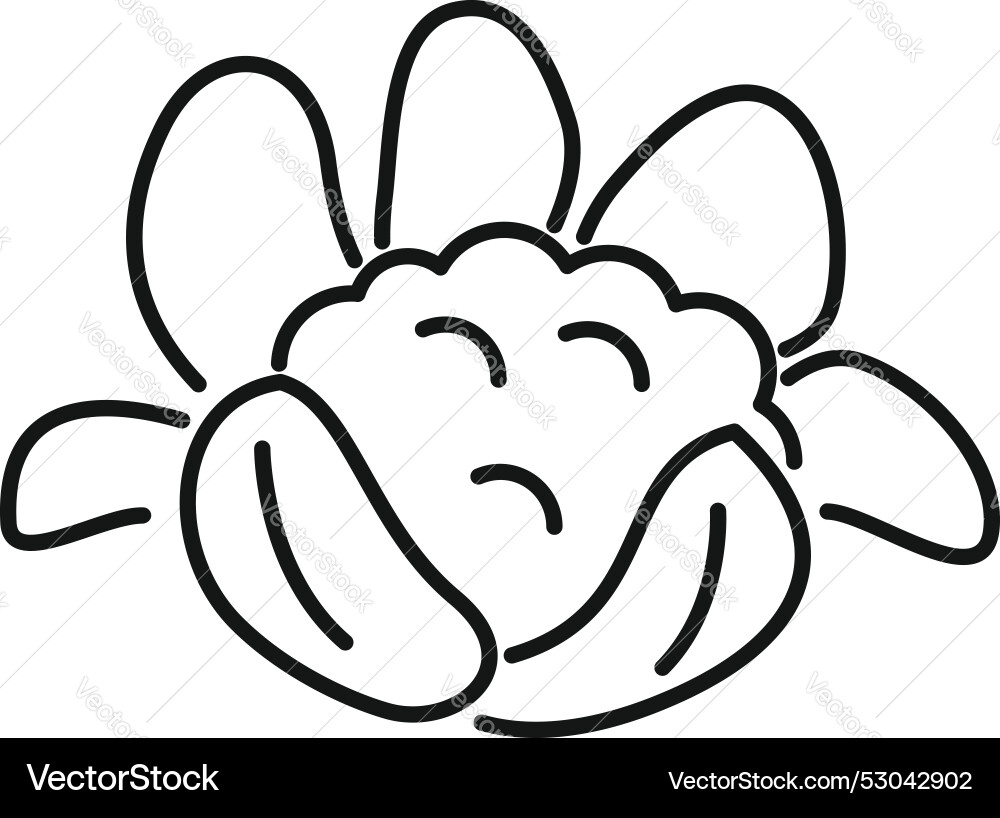 Fresh artichoke vegetable drawing with thick lines