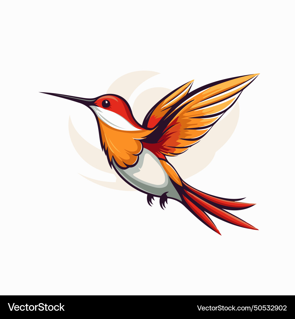 Hummingbird isolated on white background cartoon Vector Image